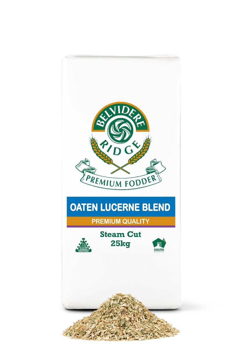 HORSE – stockfeedshop.com
